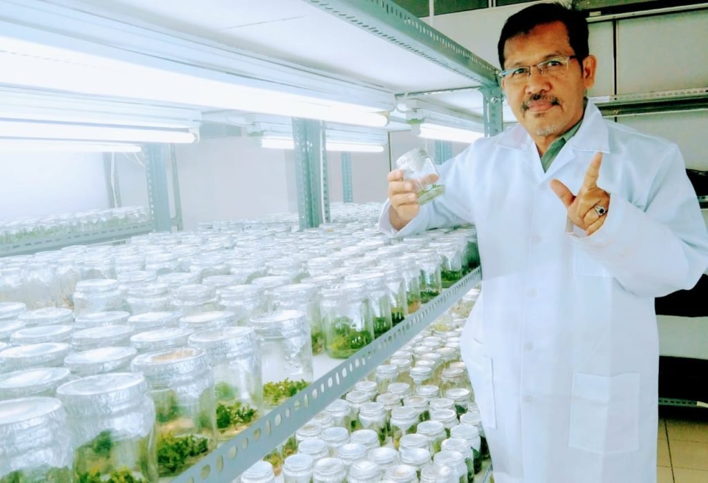 Dr. Ali Husni, Orang Pertama Aplikasikan Bioteknologi Selular Hibrida ...
