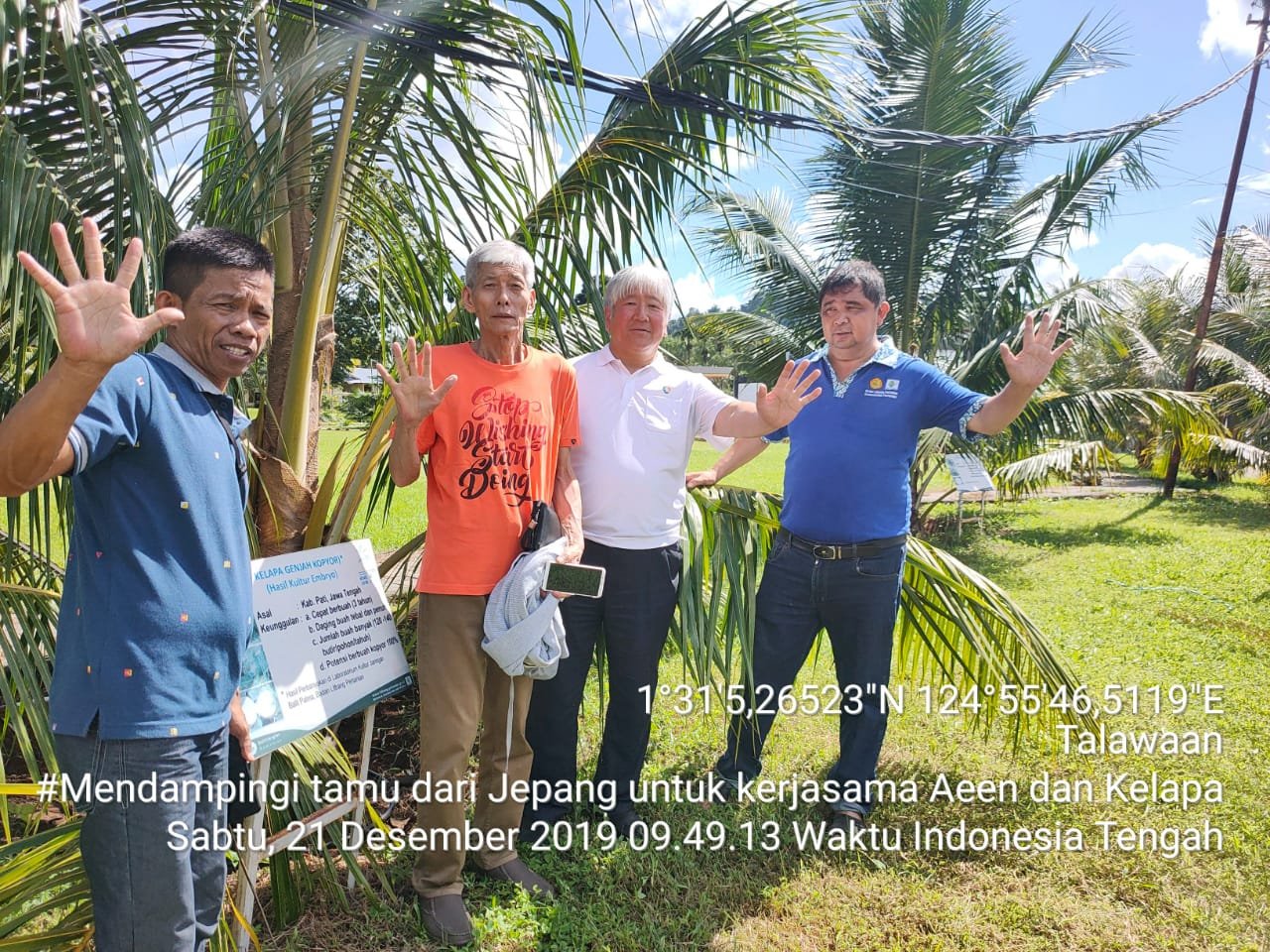 Olah Kelapa Jadi Jet Fuel, Pengusaha Jepang Jajaki Kolaborasi dengan ...