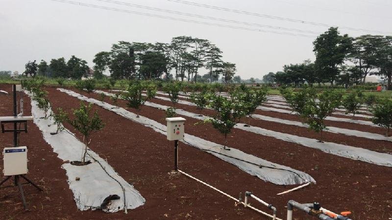 Irigasi Pintar Berbasis Internet of Things - Technology Indonesia