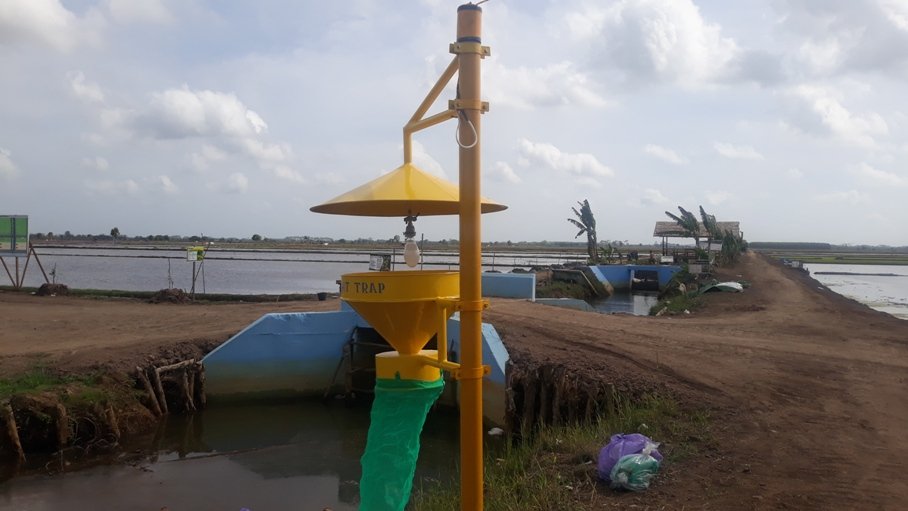 Atasi Hama Padi di Kawasan Food Estate Kalteng, Balitbangtan Gunakan ...
