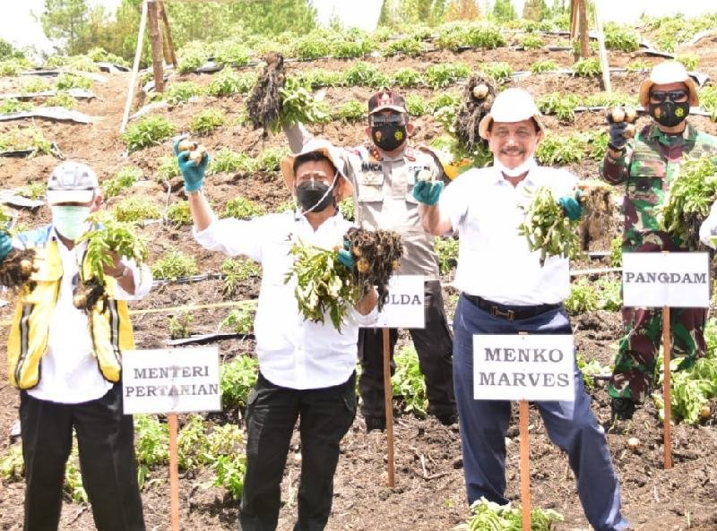 Menko Luhut Puas Progres Pengembangan Food Estate Humbahas - Technology ...